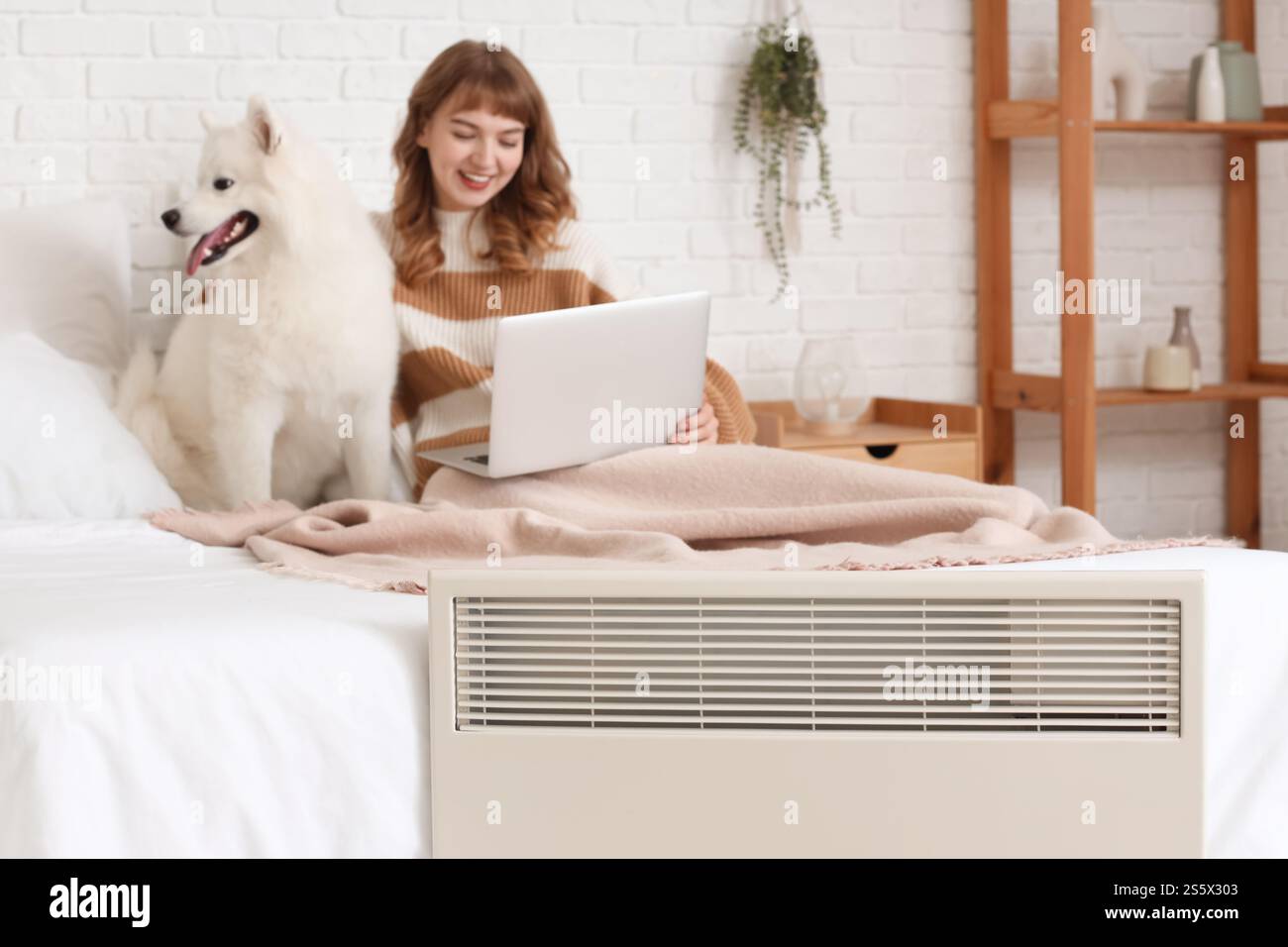 Young woman with laptop and Samoyed dog warming near radiator in ...