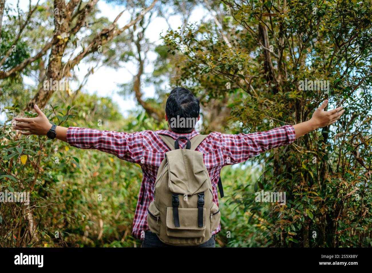 Back view man in peak hi-res stock photography and images - Alamy