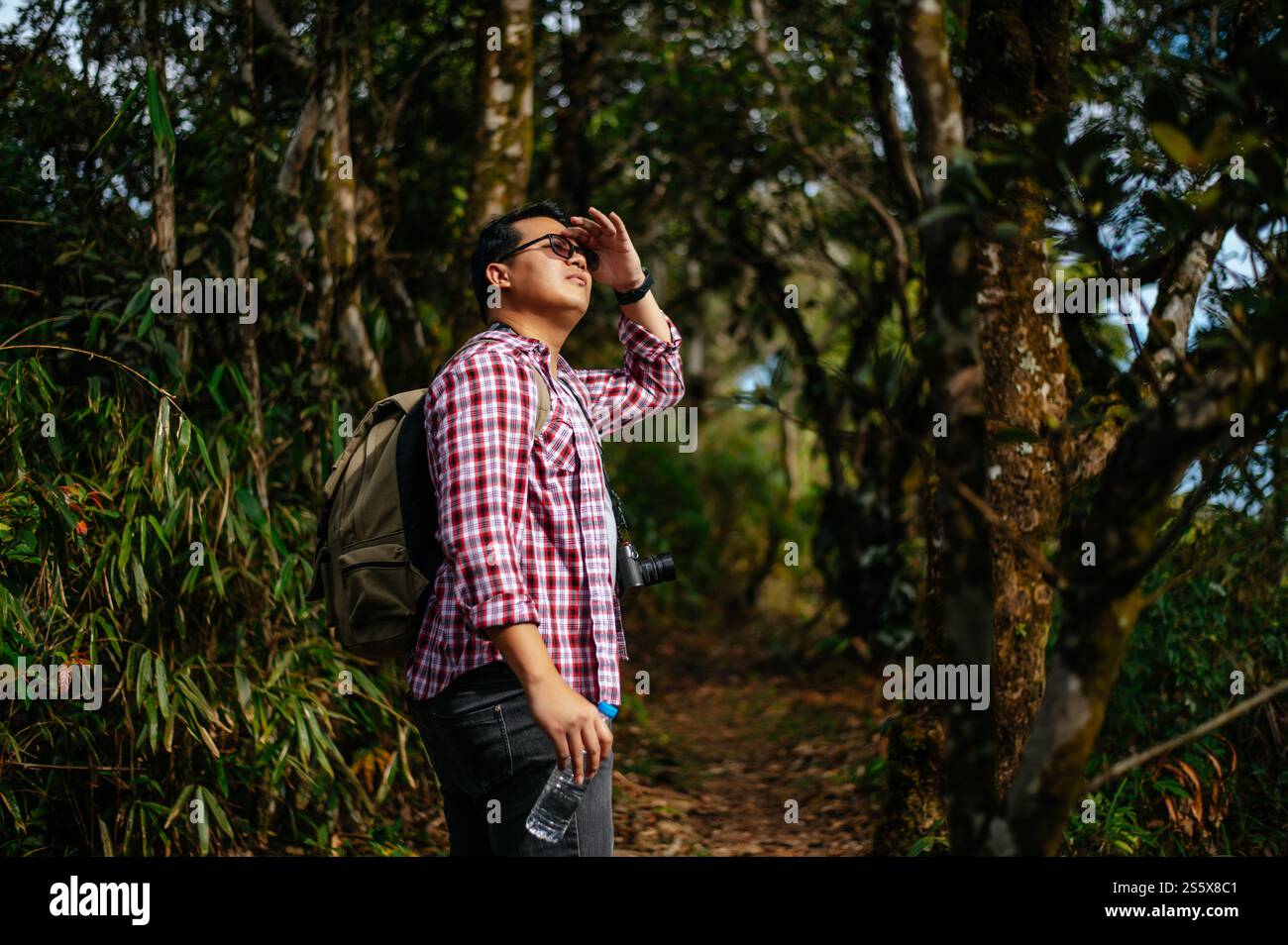Young Asian hiker man with backpack and camera walking on trail in ...