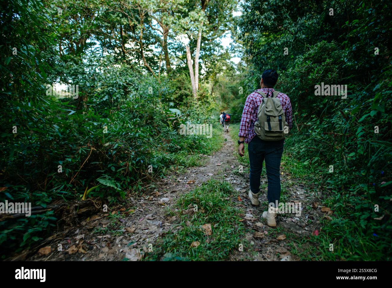Rear view back of Young asian hiking man walking with backpack on trail ...