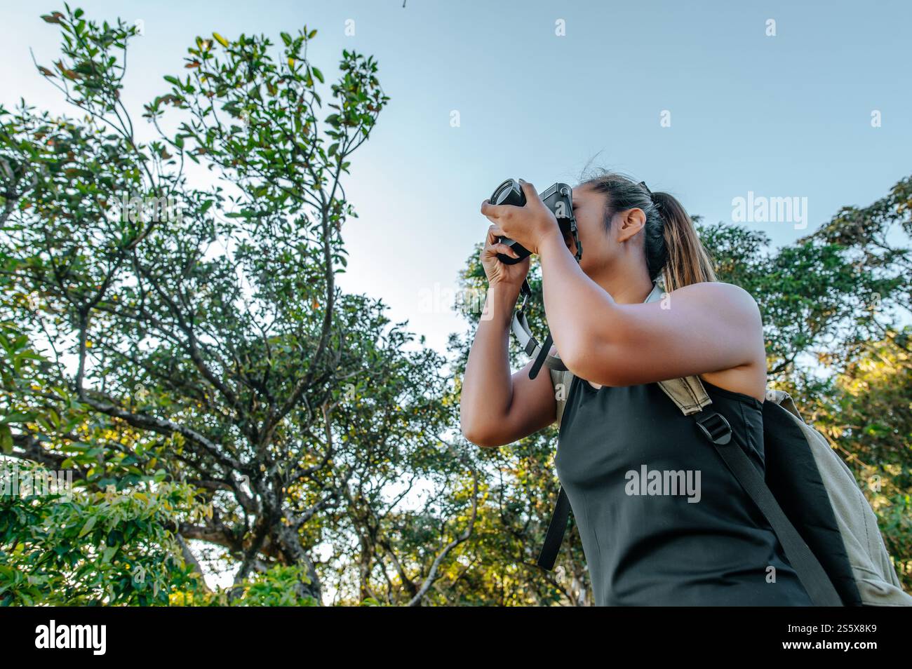 Young Asian hiker woman and backpack use camera to take pictures in ...