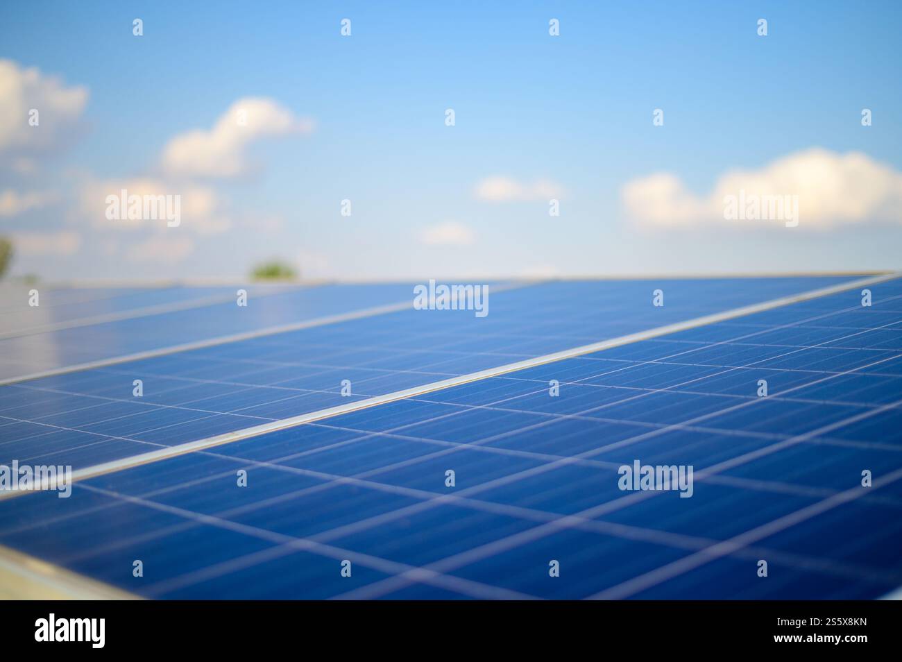 Close up and selective focus on Mono-crystalline solar cells, Clean ...