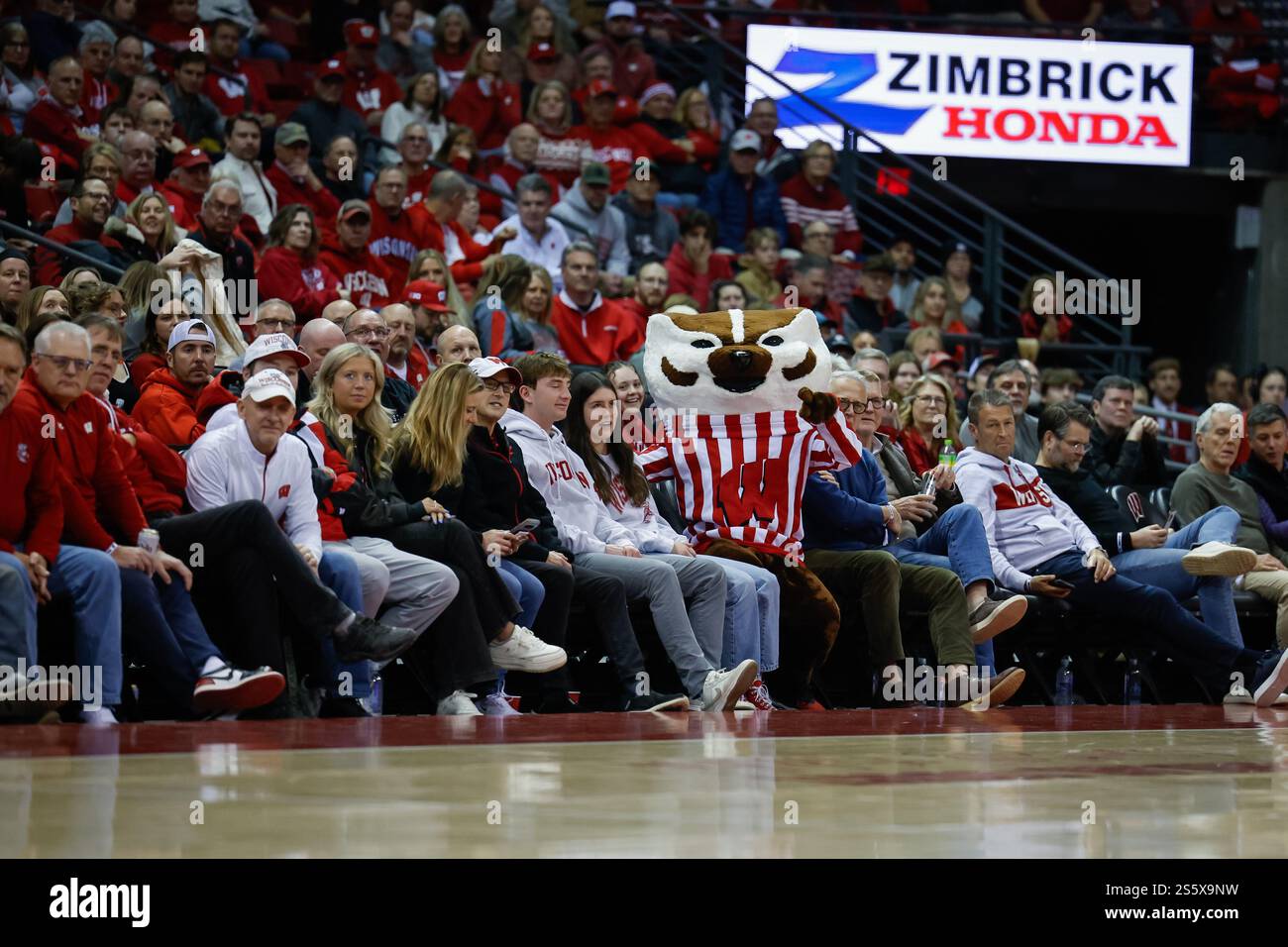 Madison, WI, USA. 14th Jan, 2025. Wisconsin Badgers mascot Bucky Badger ...