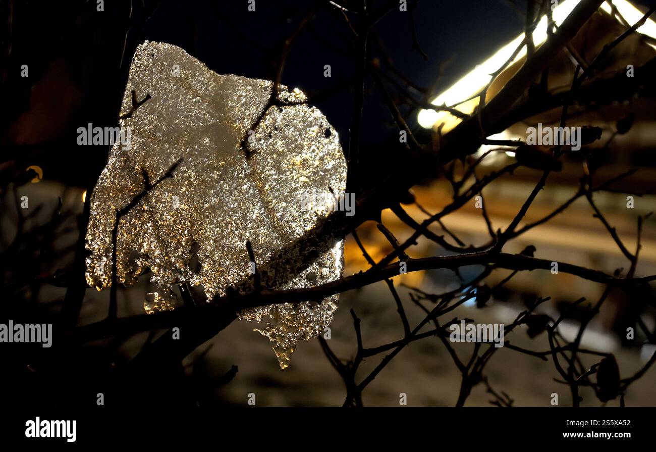15 January 2025, Bavaria, Füssen: In the early morning, frozen snow ...