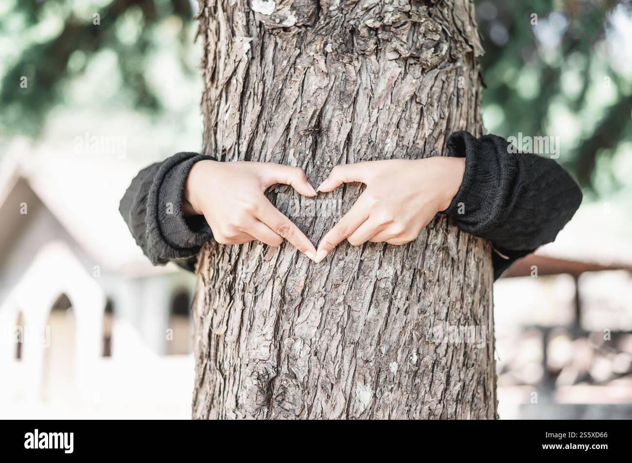 Young woman hug a tree in the forest and show a sign of heart and love ...