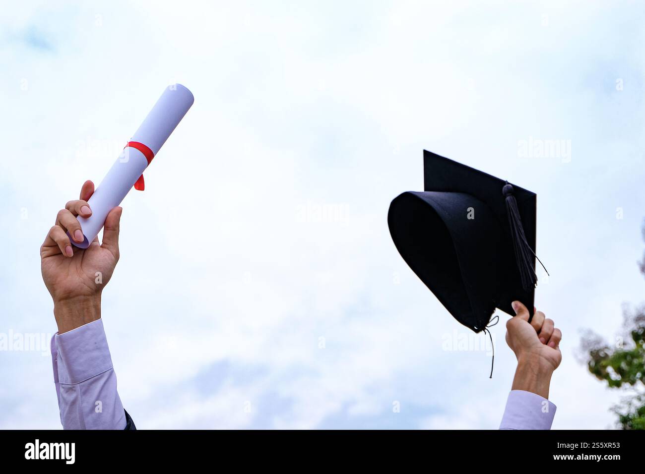 Student with congratulations, graduates wearing a graduation gown of ...