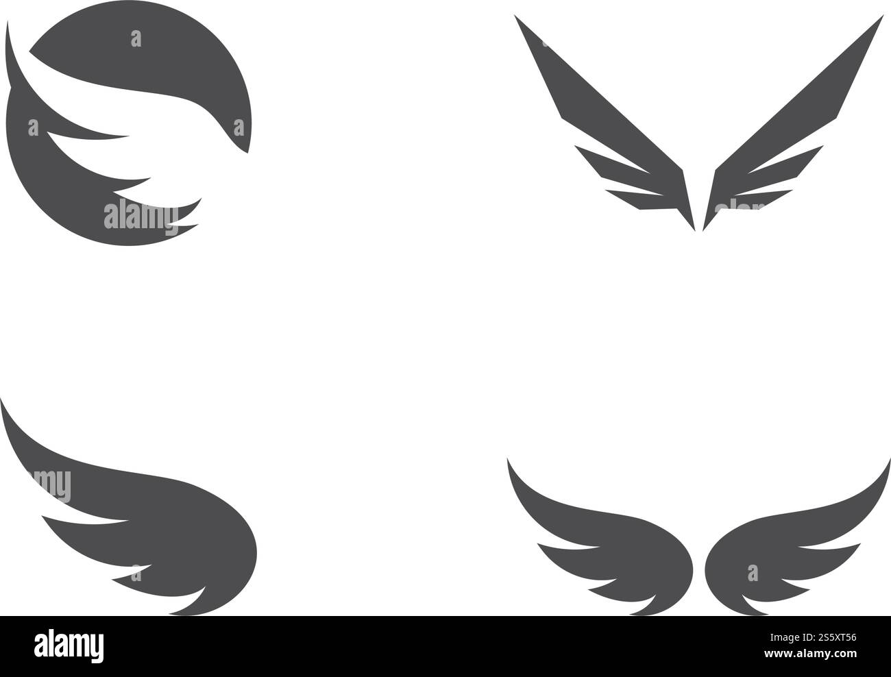 The falcon project Black and White Stock Photos & Images - Alamy