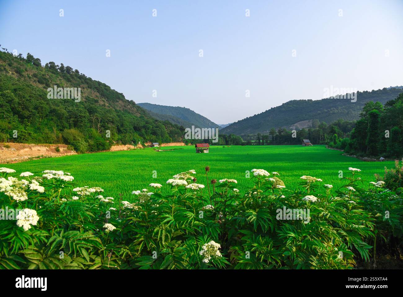 Agriculture and the beautiful nature of Farim in Iran Stock Photo - Alamy