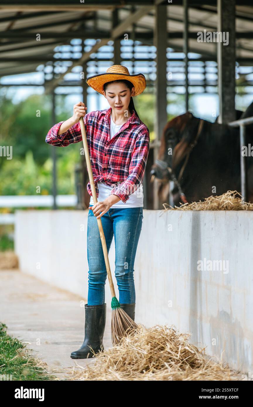 Portrait of Happy young Asian farmer woman sweeping floor at cow farm ...