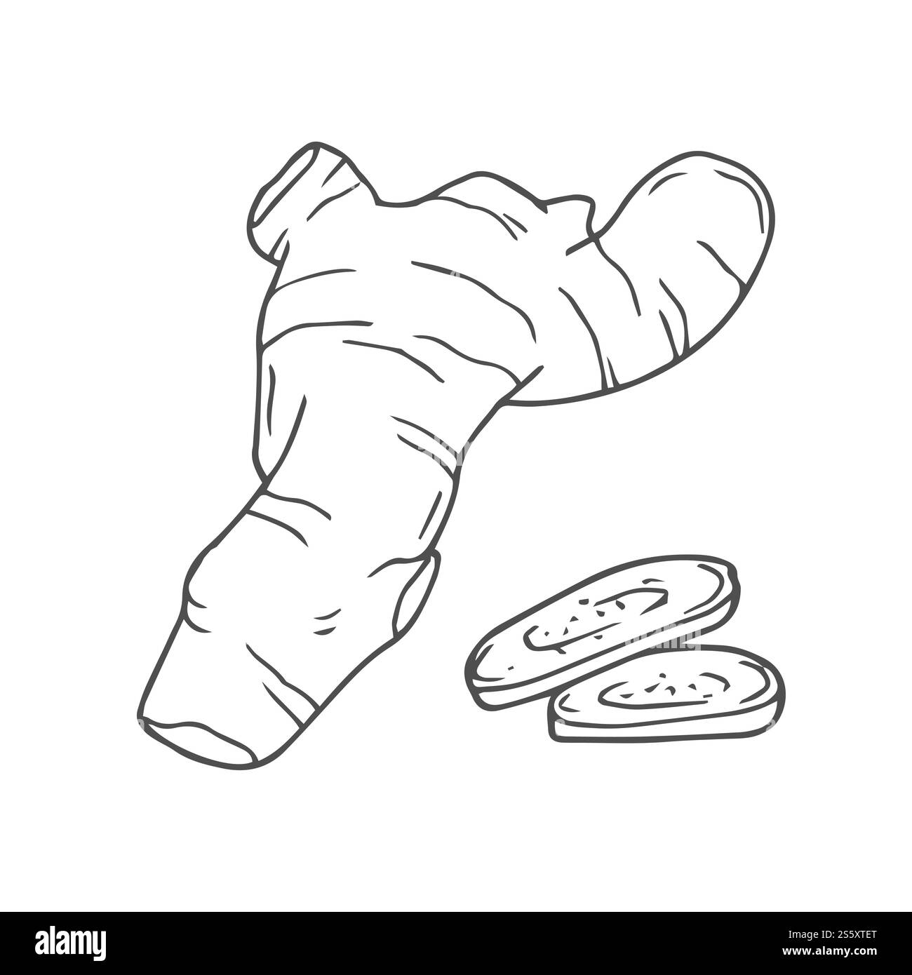 Ginger root food set Stock Vector Images - Alamy