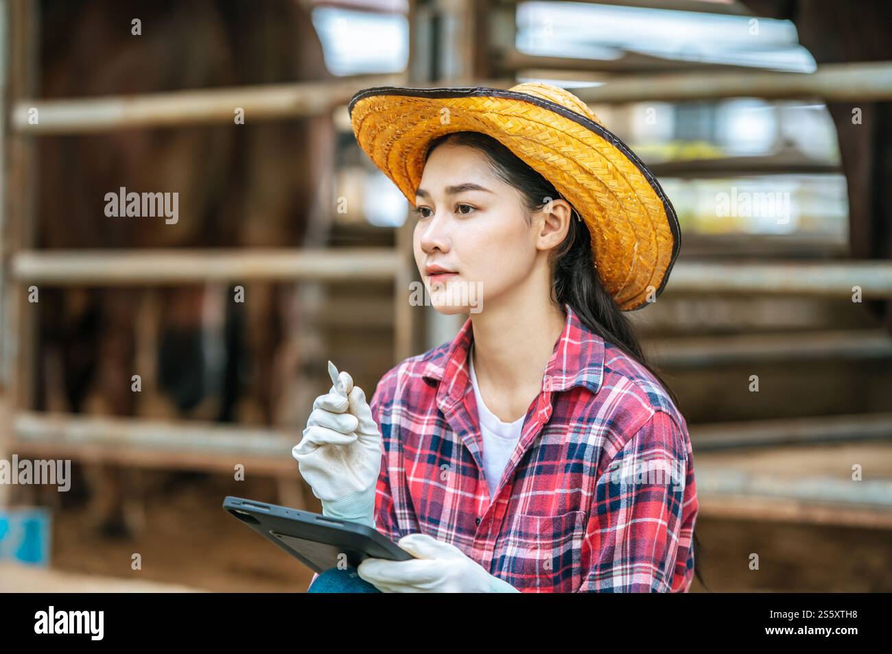 Asian young farmer woman sitting while working with tablet pc computer ...