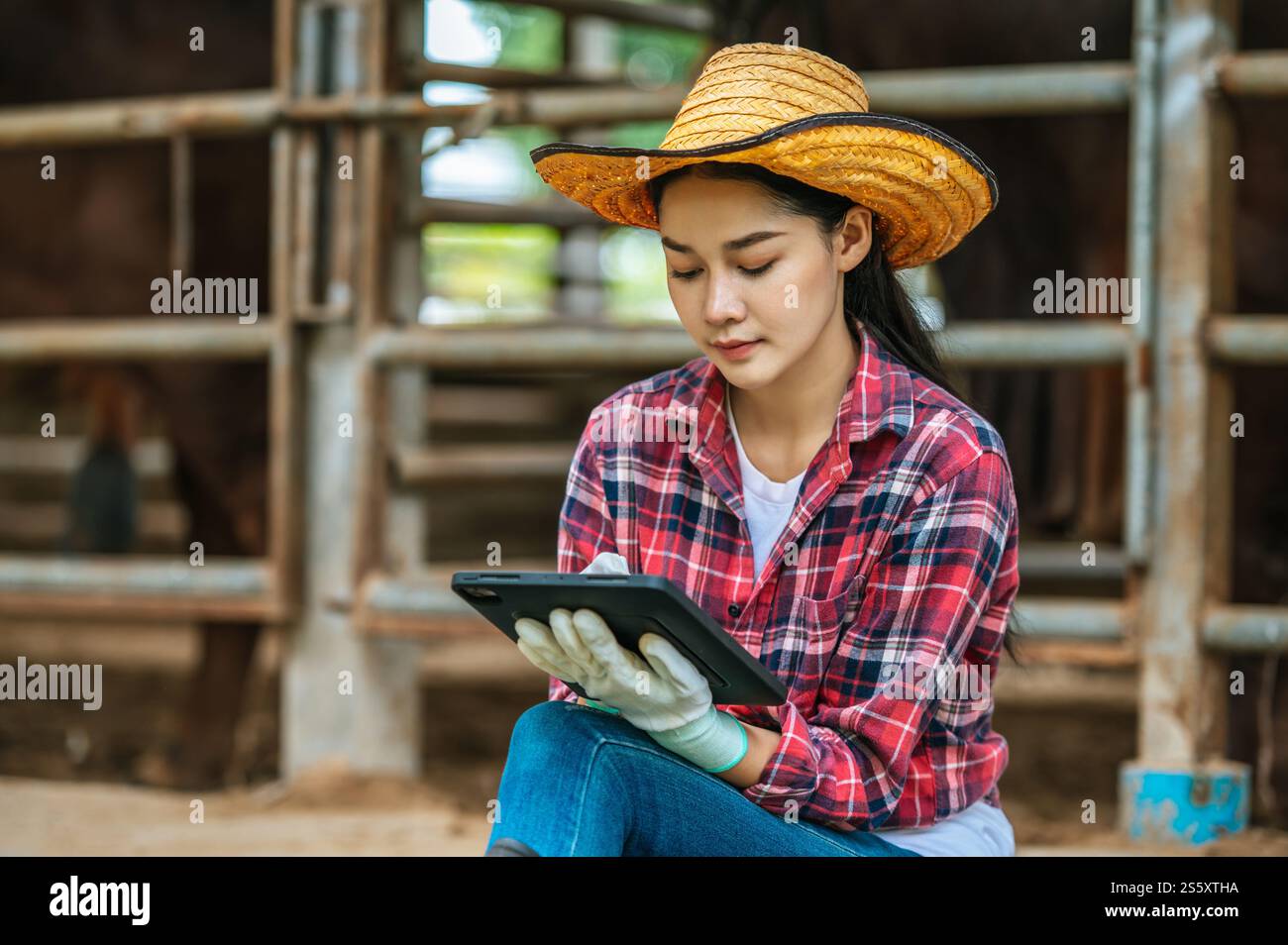 Female agronomist working on tablet hi-res stock photography and images ...