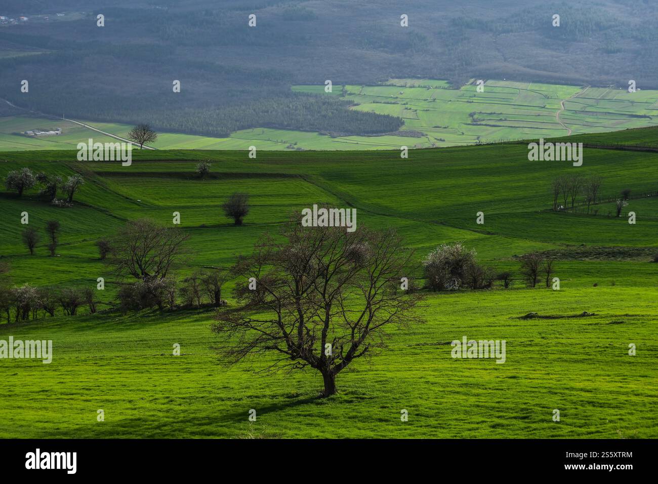 Agriculture and the beautiful nature of Farim in Iran Stock Photo - Alamy