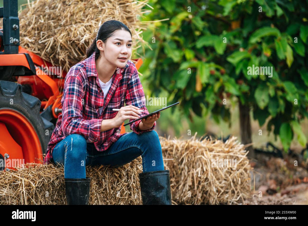 Asian young female farmer sitting on bale of hay with big tractor ...