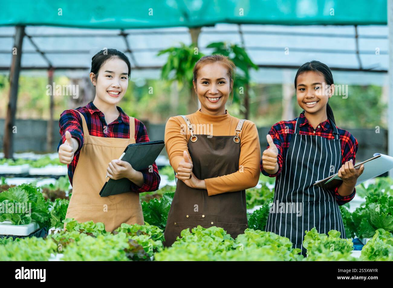 Portrait of Happy Young Asian girls farmer checking fresh green oak ...
