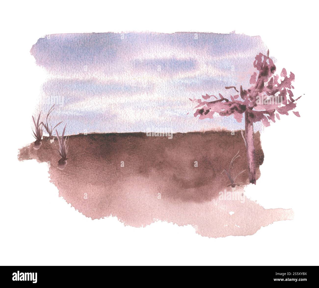 Pale pink tree Cut Out Stock Images & Pictures - Alamy