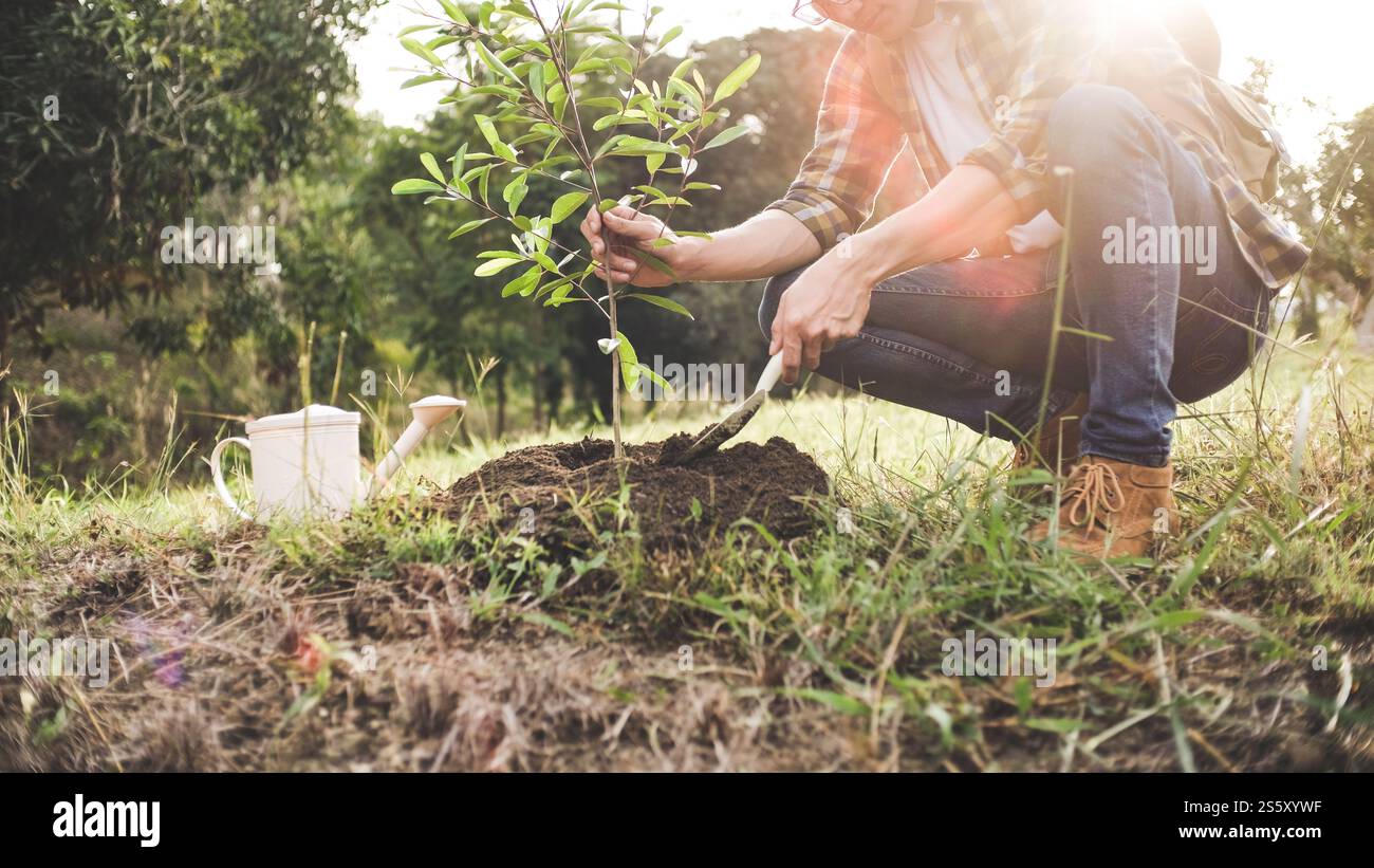Water ground water spring planting hi-res stock photography and images ...