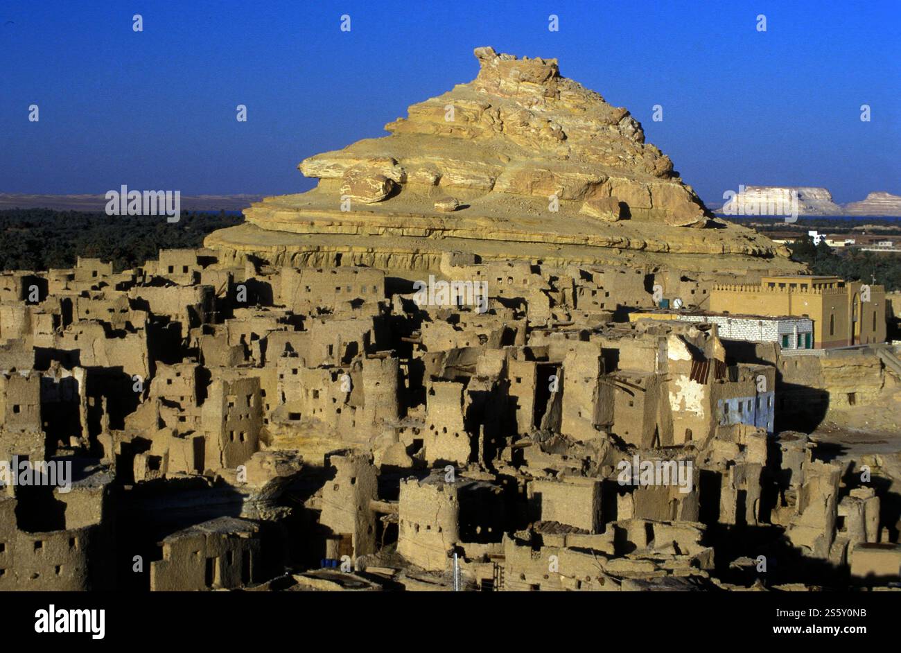 the old Village of Siwa in the Libyan or estern Desert of Egypt in ...