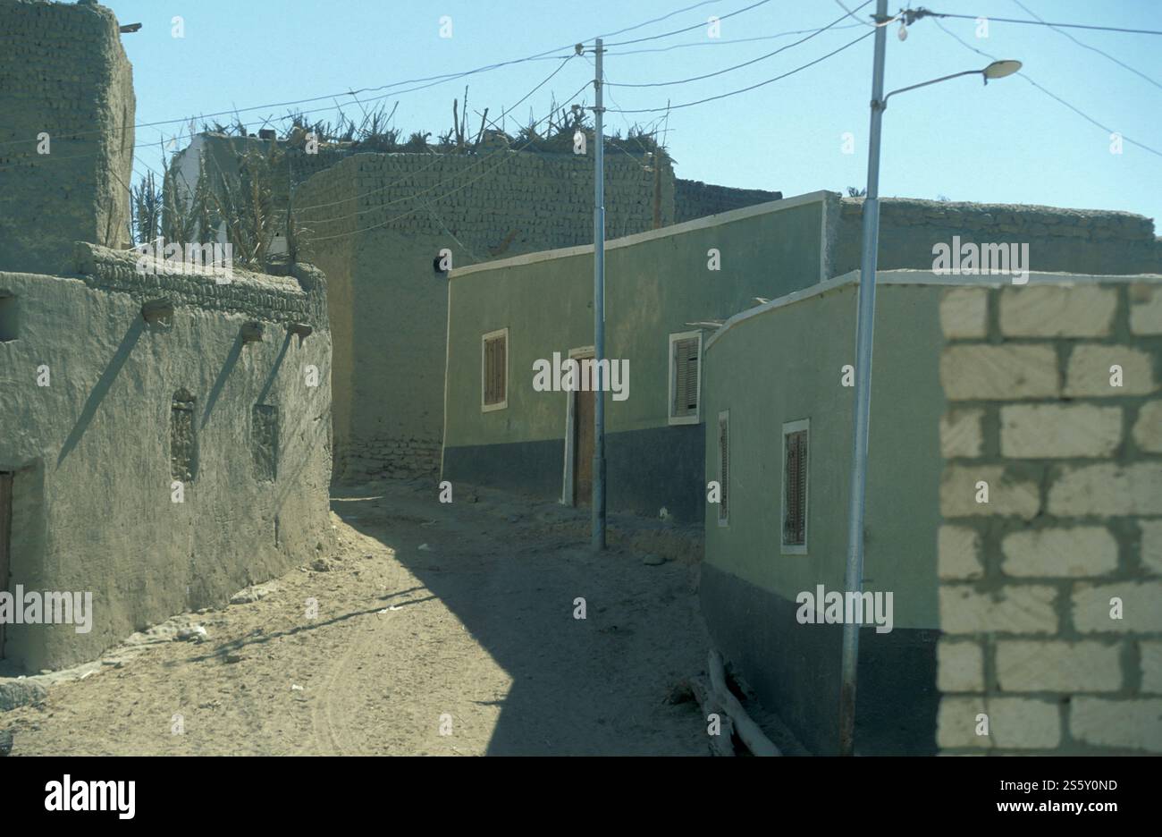 the Town and Oasis of Farafra in the Libyan or estern Desert of Egypt ...