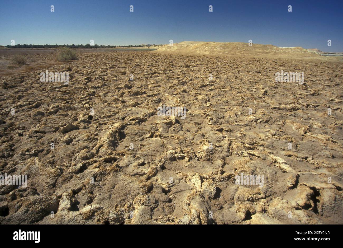 the Landscape and nature of the Salt Lake and Lake Siwa at the old ...