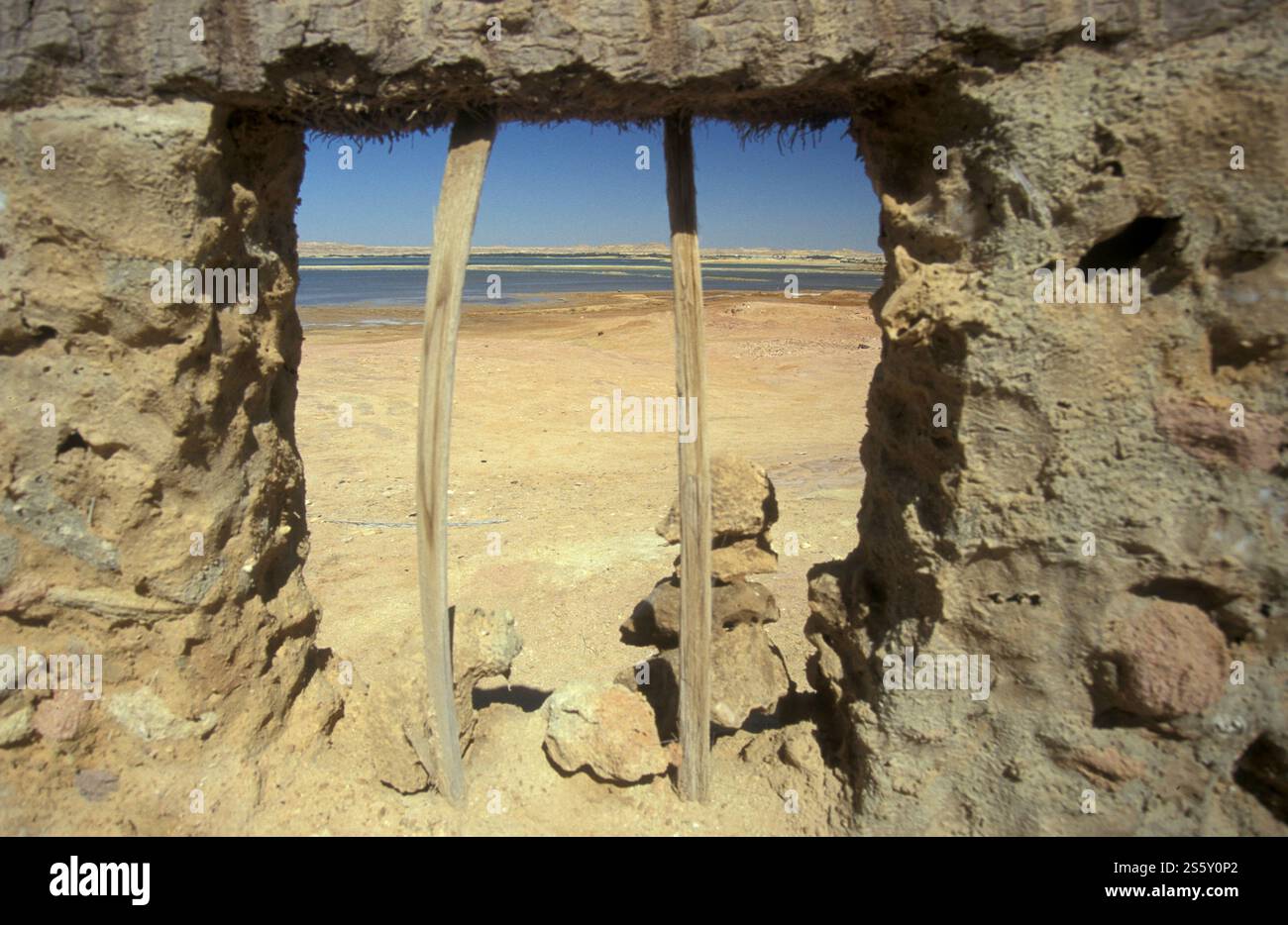 the Ruins of a old House at the old Village of Siwa in the Libyan or ...
