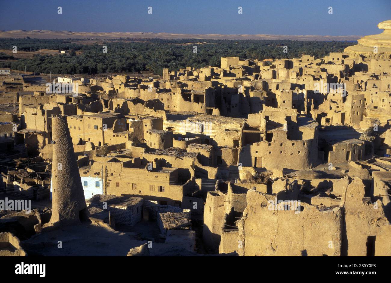 the old Village of Siwa in the Libyan or estern Desert of Egypt in ...