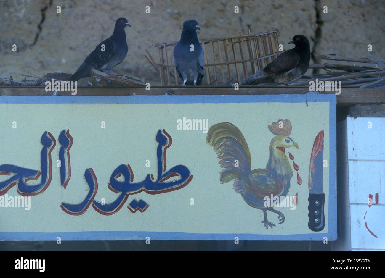 a chicken Meat shop at the Food Market in the old Village of Siwa in ...