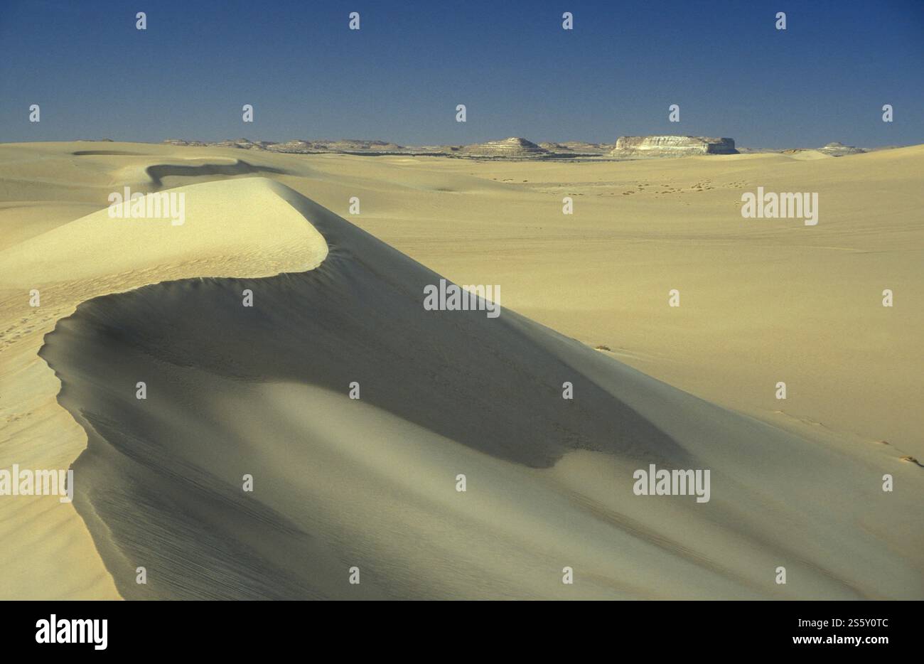 the Sand Dunes near the Oasis and Village of Siwa in the Libyan or ...