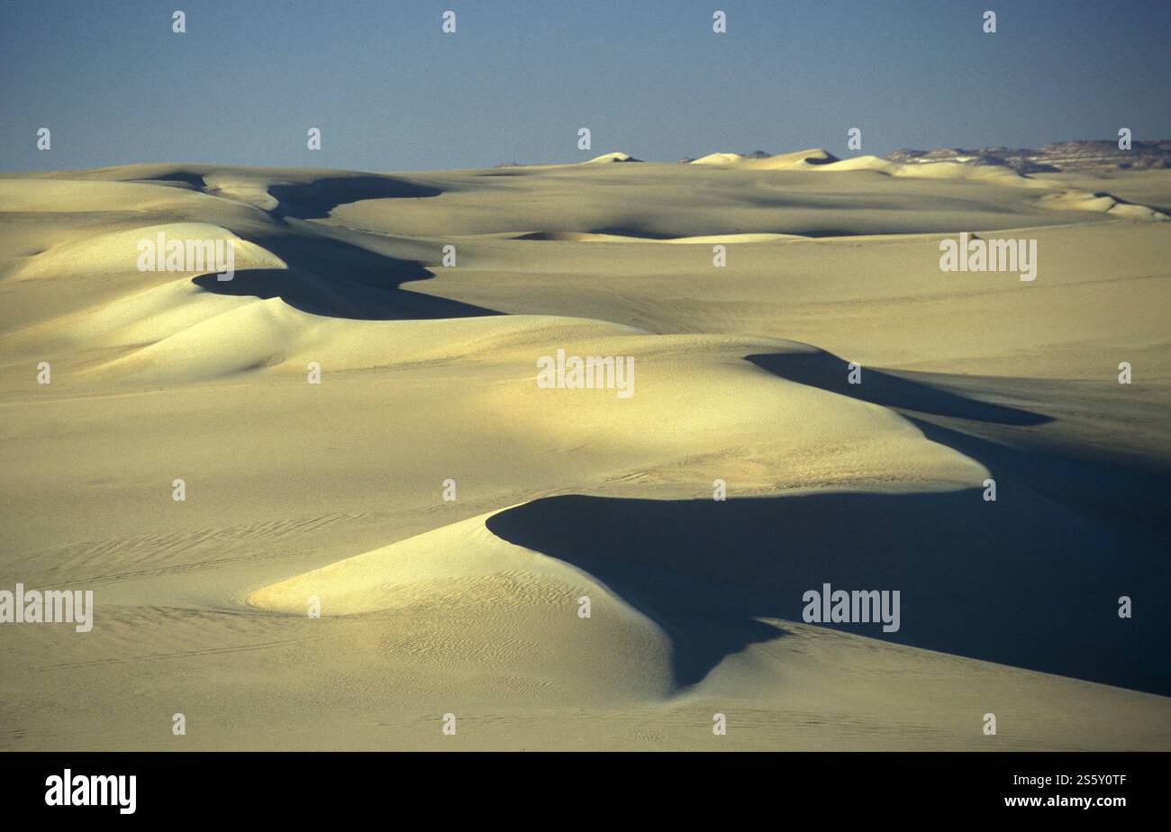 the Sand Dunes near the Oasis and Village of Siwa in the Libyan or ...