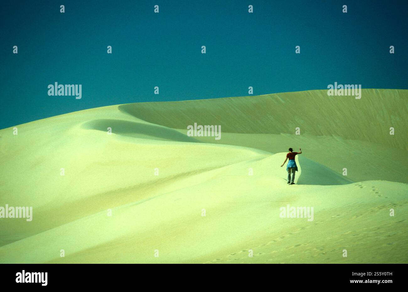 the Sand Dunes near the Oasis and Village of Siwa in the Libyan or ...