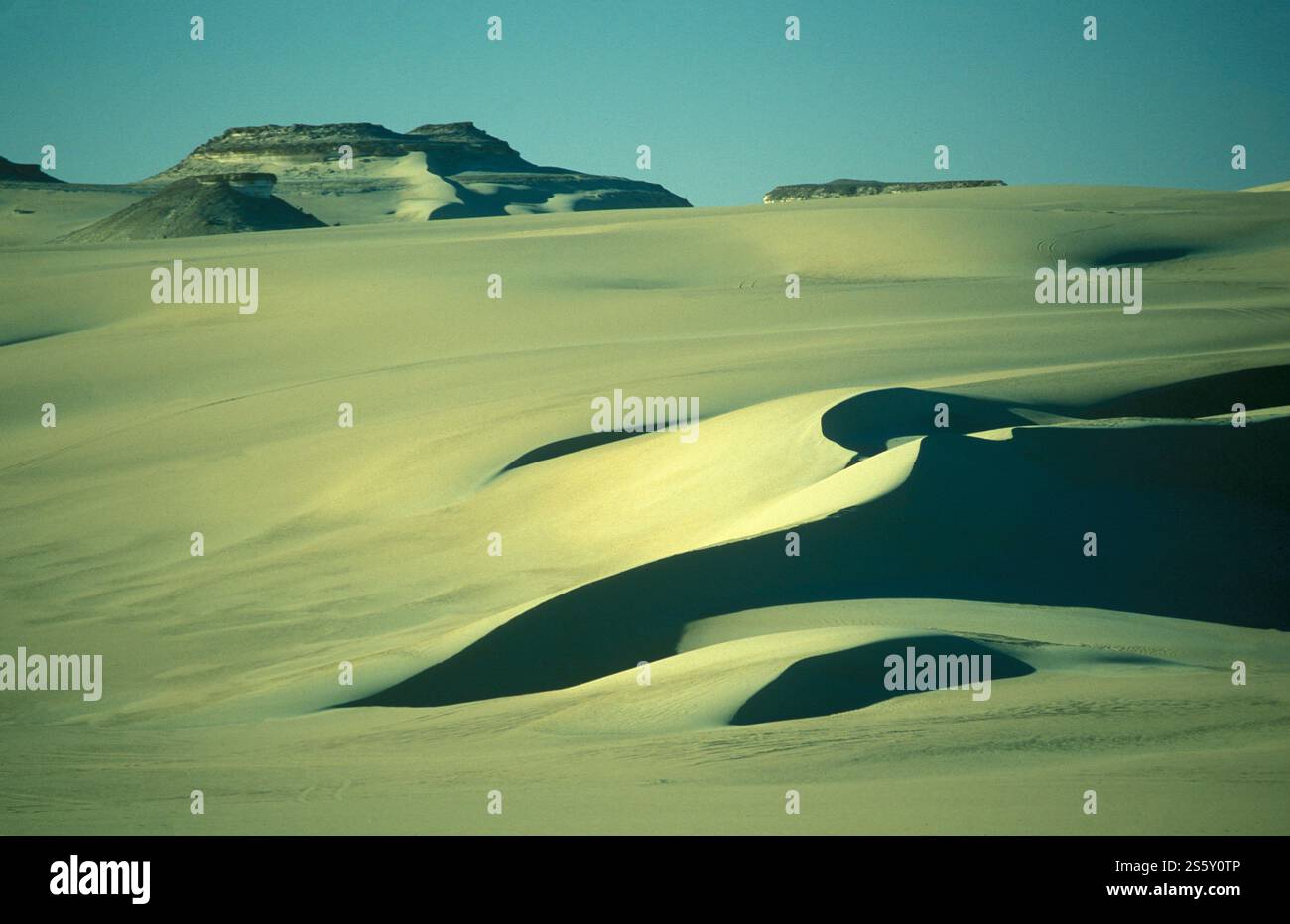 the Sand Dunes near the Oasis and Village of Siwa in the Libyan or ...