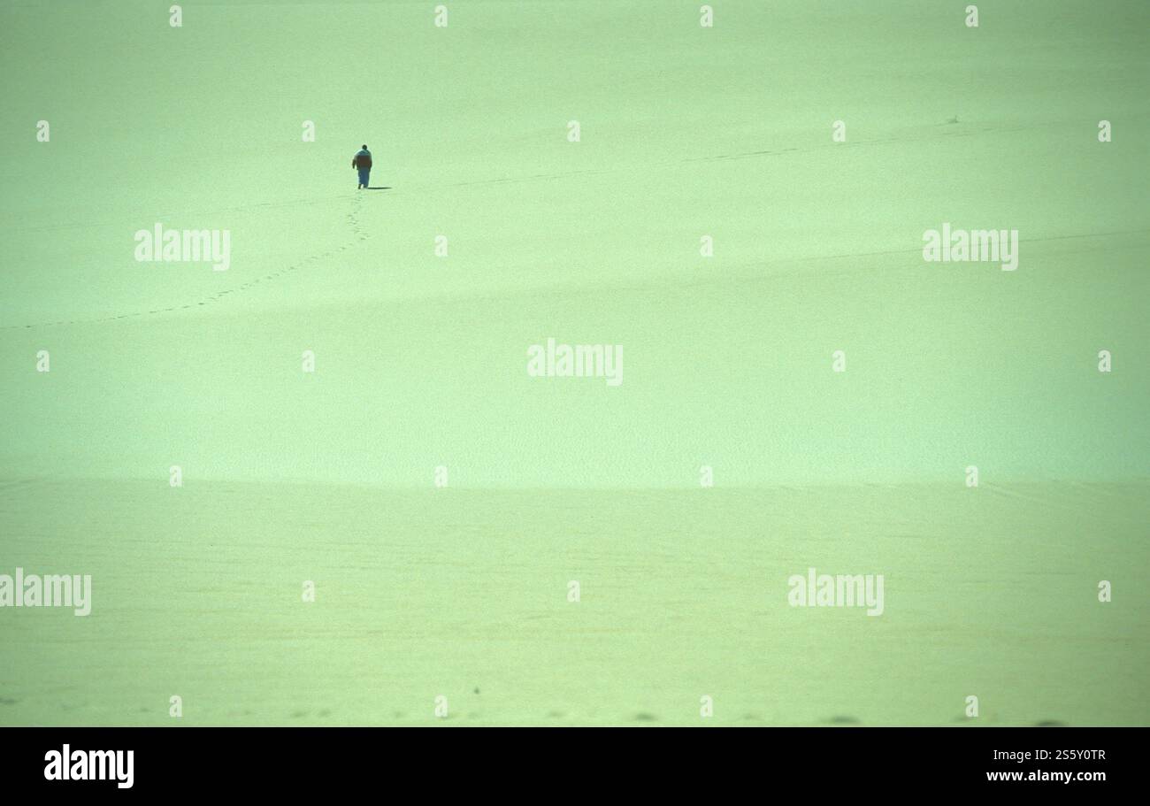 the Sand Dunes near the Oasis and Village of Siwa in the Libyan or ...