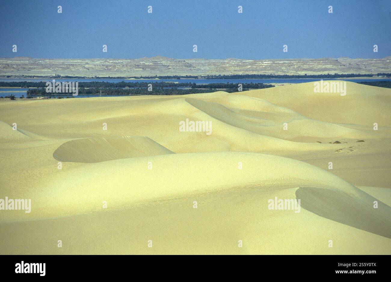 the Sand Dunes near the Oasis and Village of Siwa in the Libyan or ...