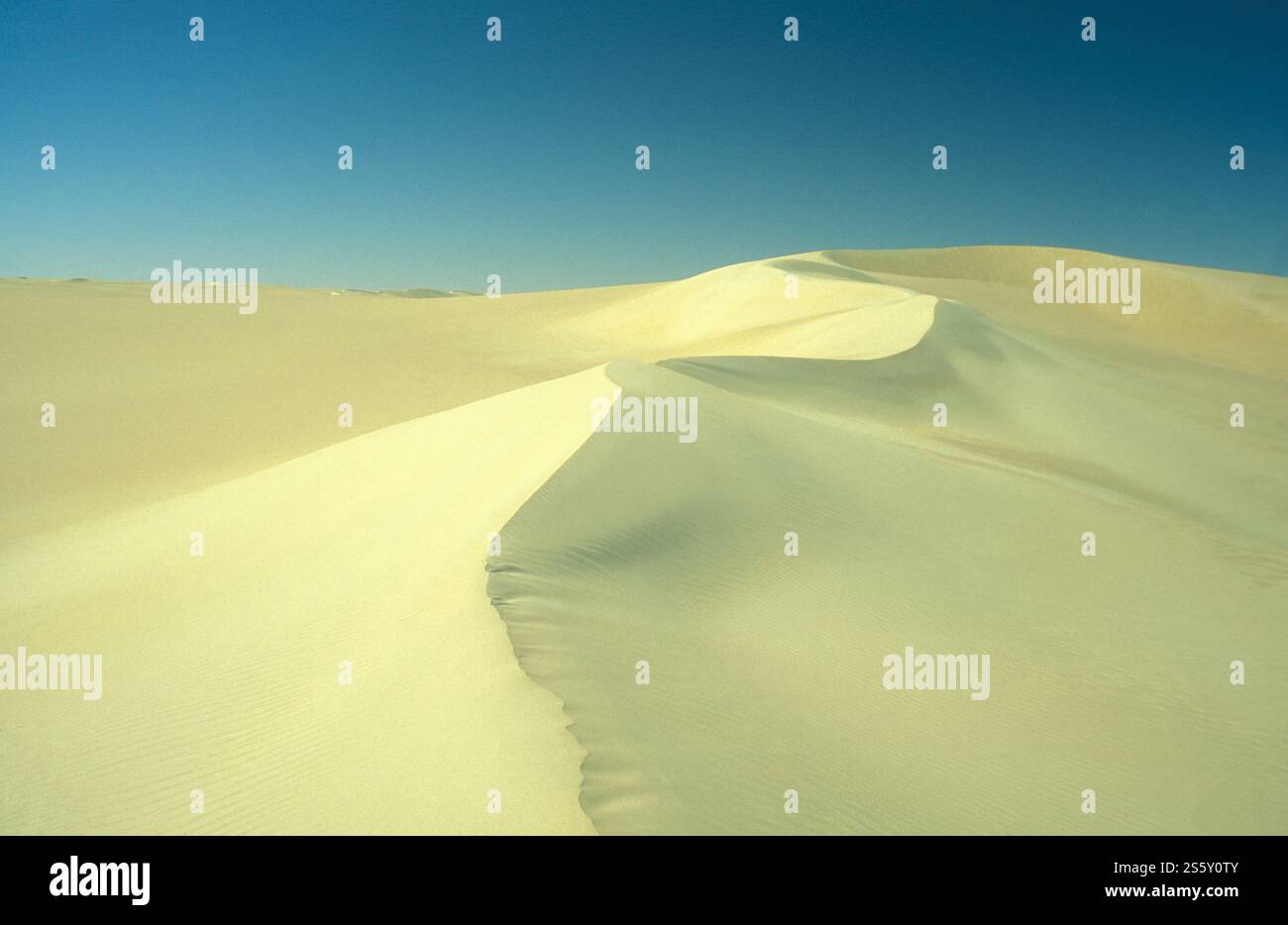 the Sand Dunes near the Oasis and Village of Siwa in the Libyan or ...
