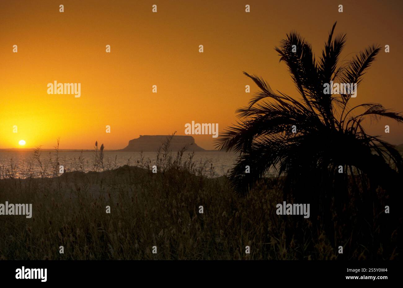 the Landscape and nature of the Salt Lake and Lake Siwa at the old ...