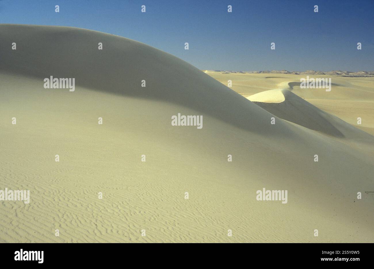 the Sand Dunes near the Oasis and Village of Siwa in the Libyan or estern Desert of Egypt in ...