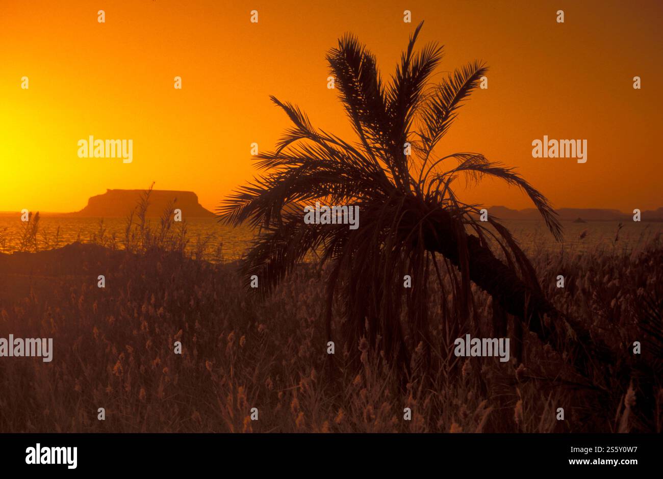 the Landscape and nature of the Salt Lake and Lake Siwa at the old ...