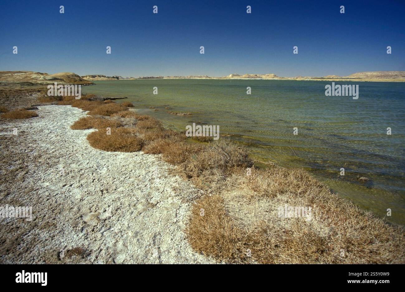 the Landscape and nature of the Salt Lake and Lake Siwa at the old ...
