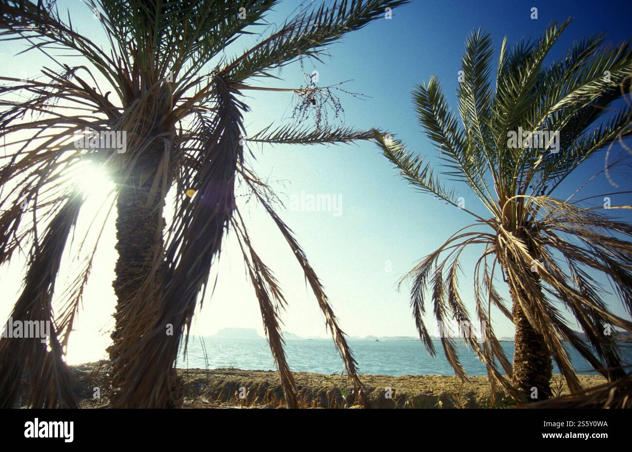 the Landscape and nature of the Salt Lake and Lake Siwa at the old ...