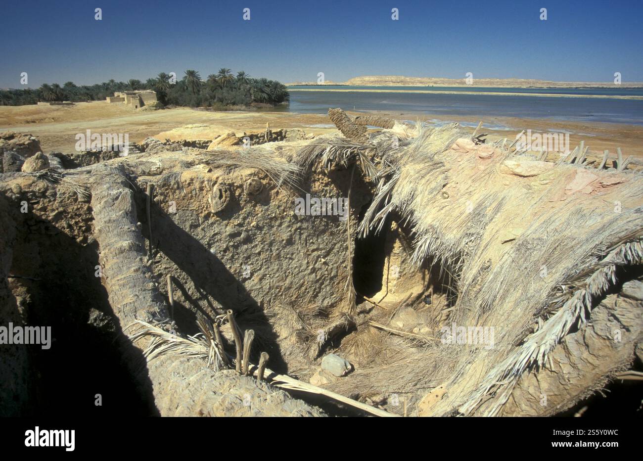the Ruins of a old House at the old Village of Siwa in the Libyan or ...