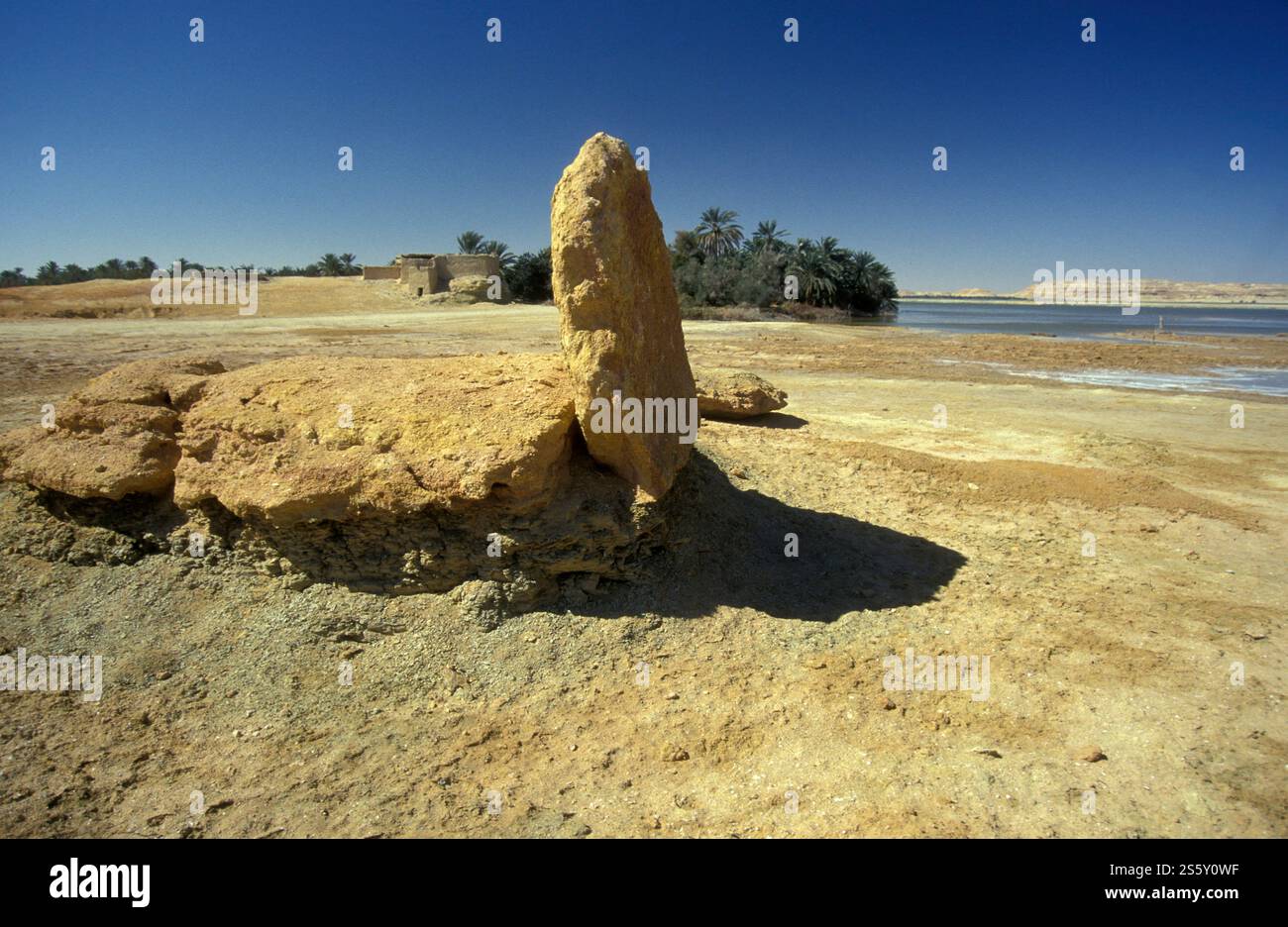 the Ruins of a old Tomb at the old Village of Siwa in the Libyan or ...