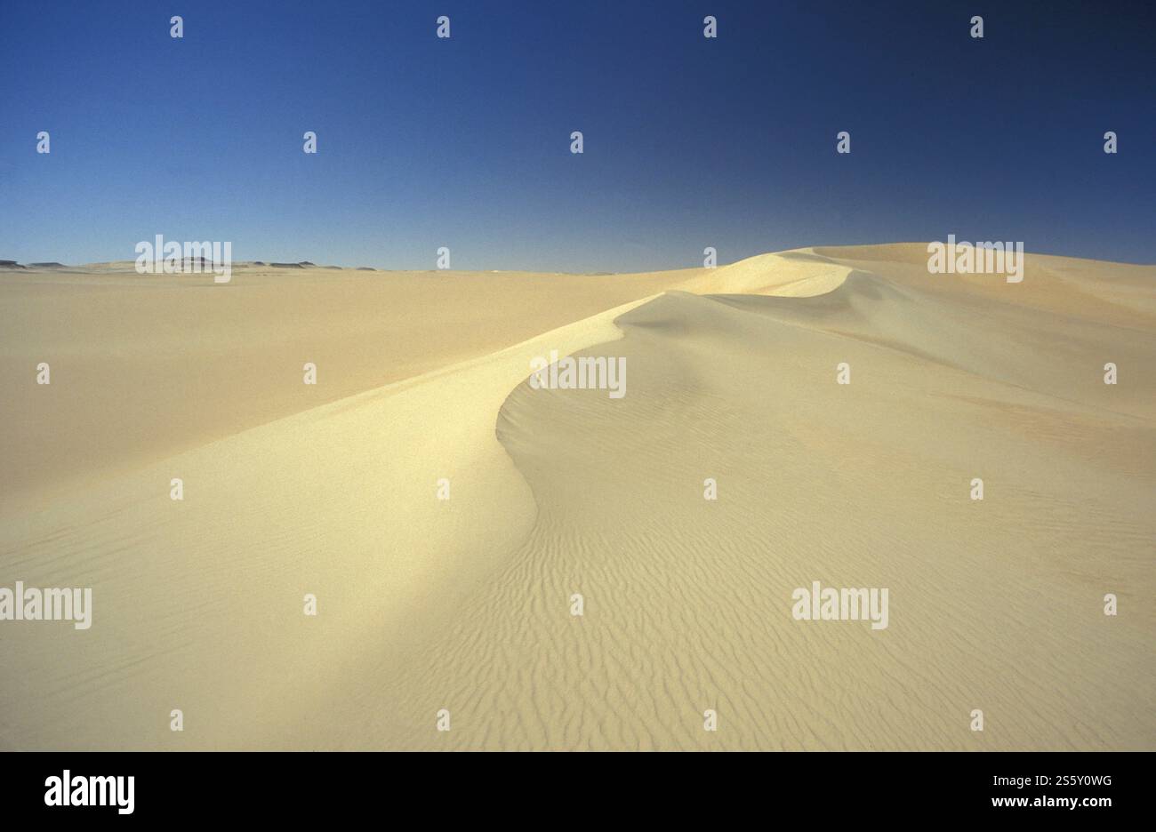 the Sand Dunes near the Oasis and Village of Siwa in the Libyan or ...
