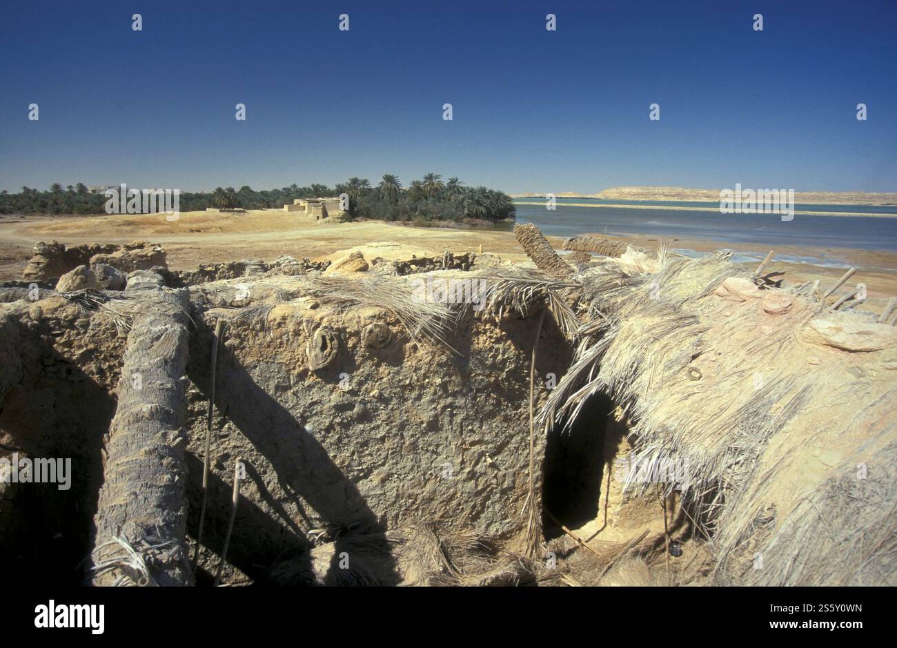 the Ruins of a old House at the old Village of Siwa in the Libyan or ...