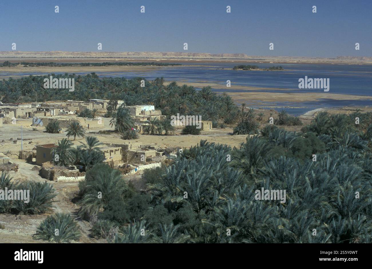 the Landscape and nature of the Salt Lake and Lake Siwa at the old ...