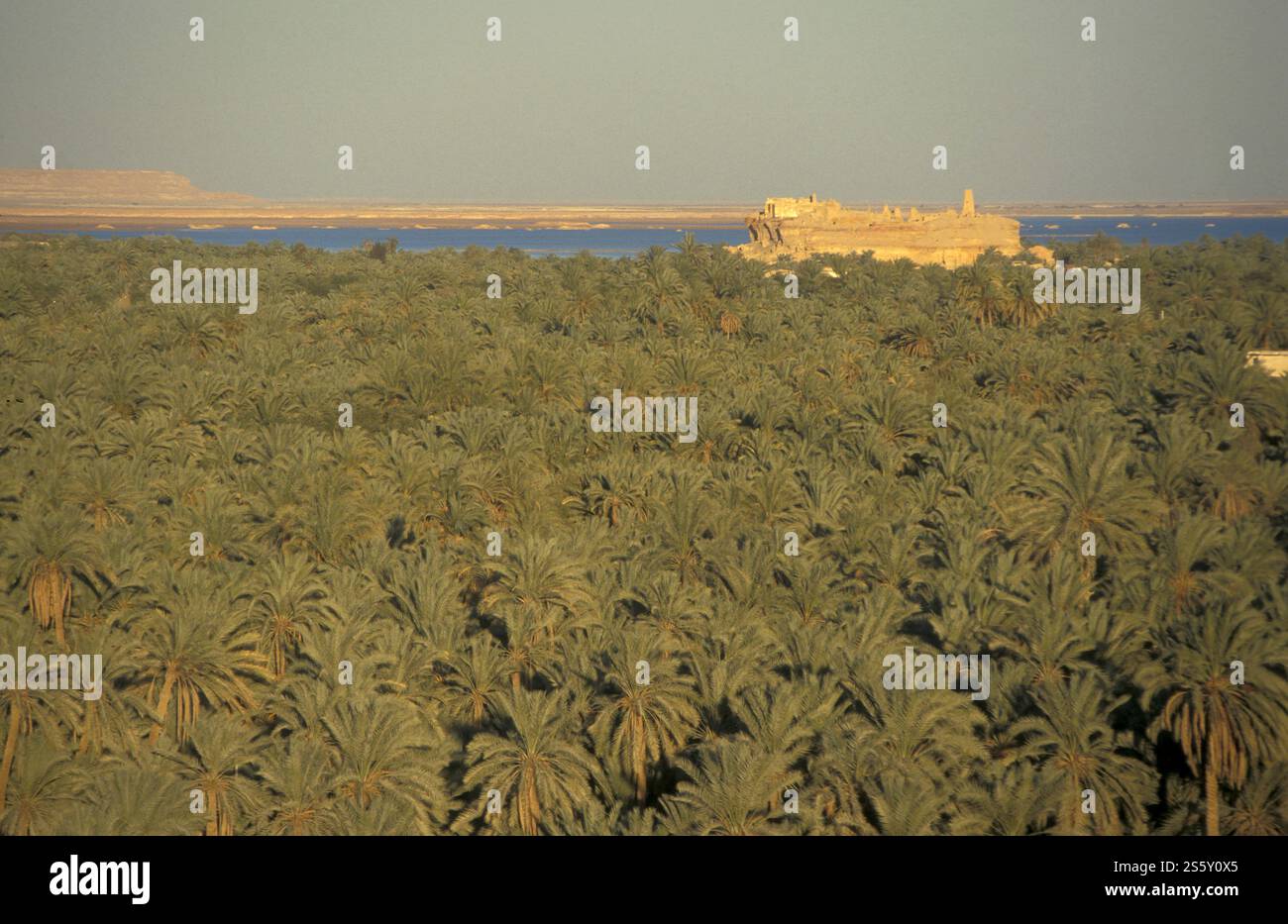 the Landscape and nature of the Salt Lake and Lake Siwa at the old ...