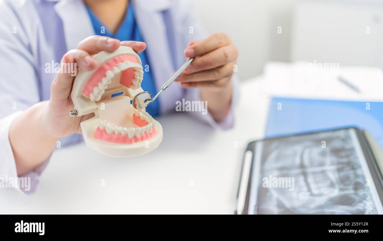 Dentist at dental clinic White healthy tooth with Dental model in oral ...