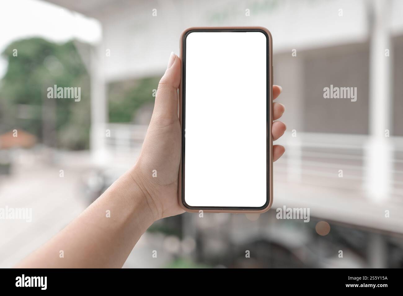 Womens hands holding cell telephone blank copy space screen. smartphone ...