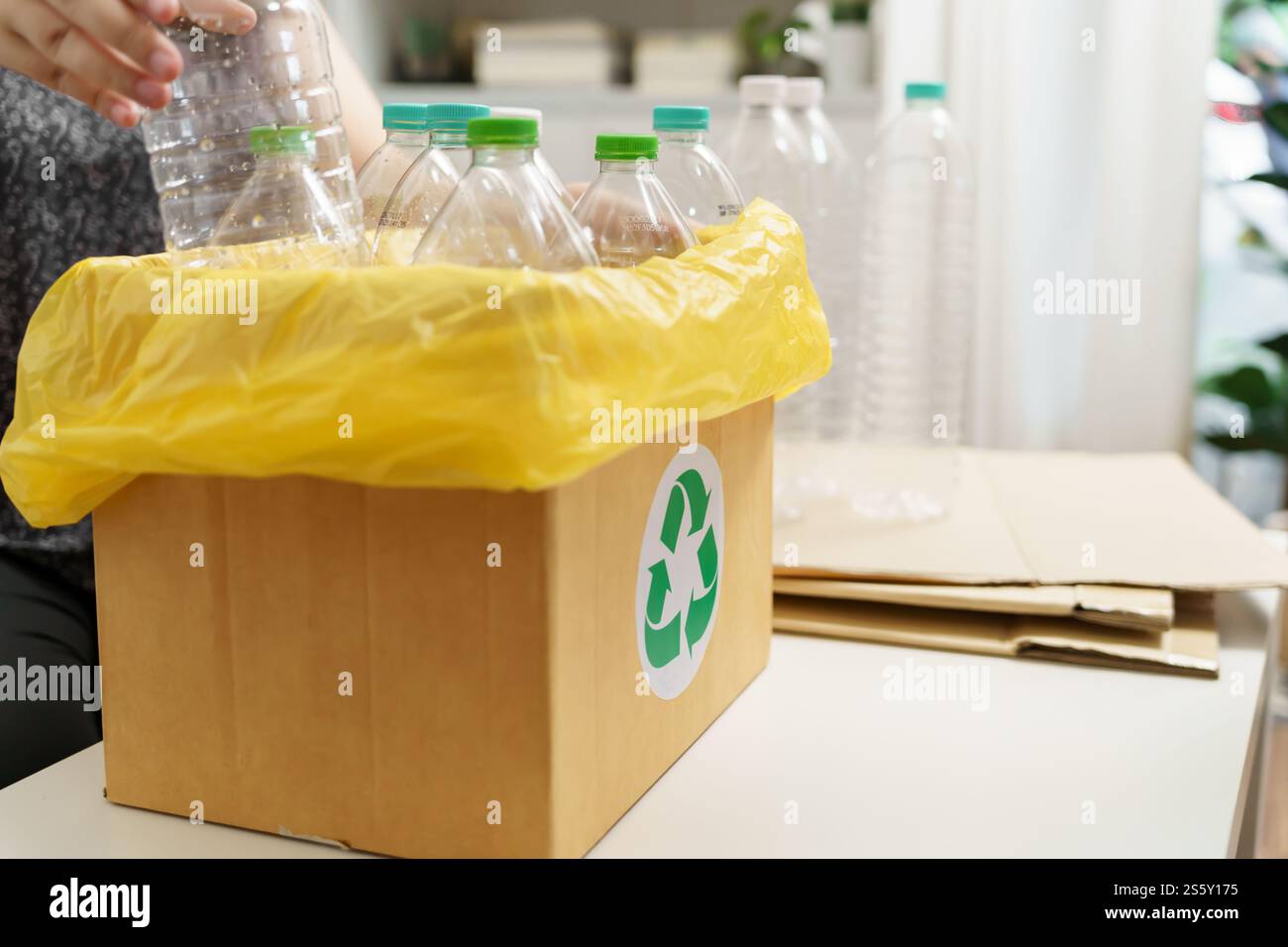 Home recycle eco green zero concept Woman throwing empty plastic bottle ...