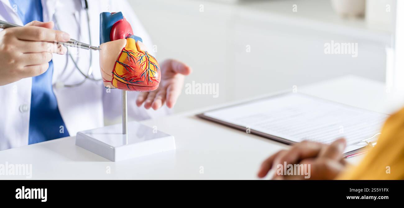 Cardiology Consultation treatment of heart disease. Doctor cardiologist ...