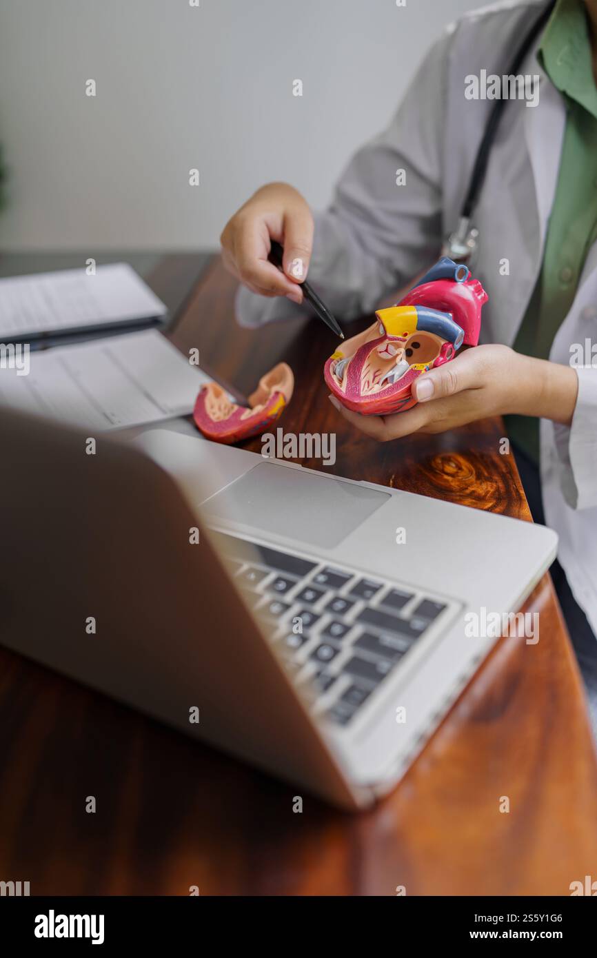 Cardiology Consultation treatment of heart disease. Doctor cardiologist ...